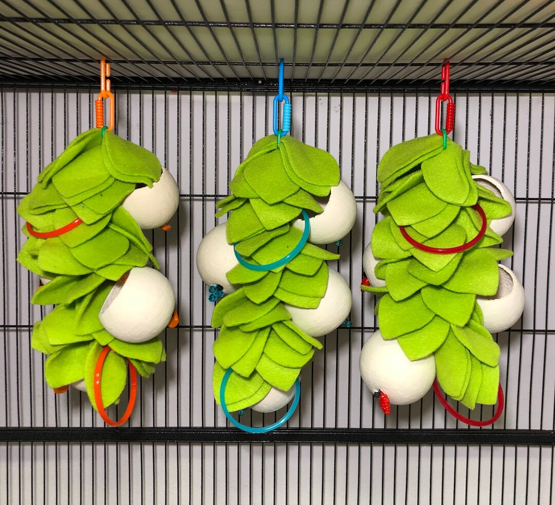 Natural Gourd Cup Forager Sugar Glider Toy Sugar Bear Toy, Pocket Pet ...