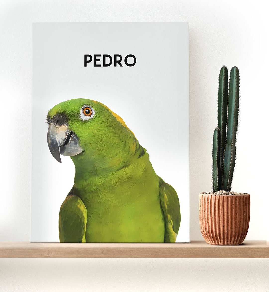 Custom Pet Portraits, Your Pet Photo Turned Into Art, Personalized ...