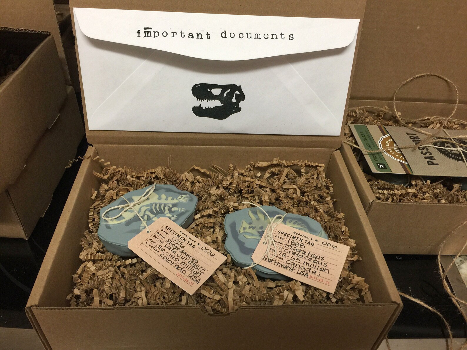 Dinosaur Dig Party, Specimen Tags, Dinosaur Birthday, Dino Skeleton and ...