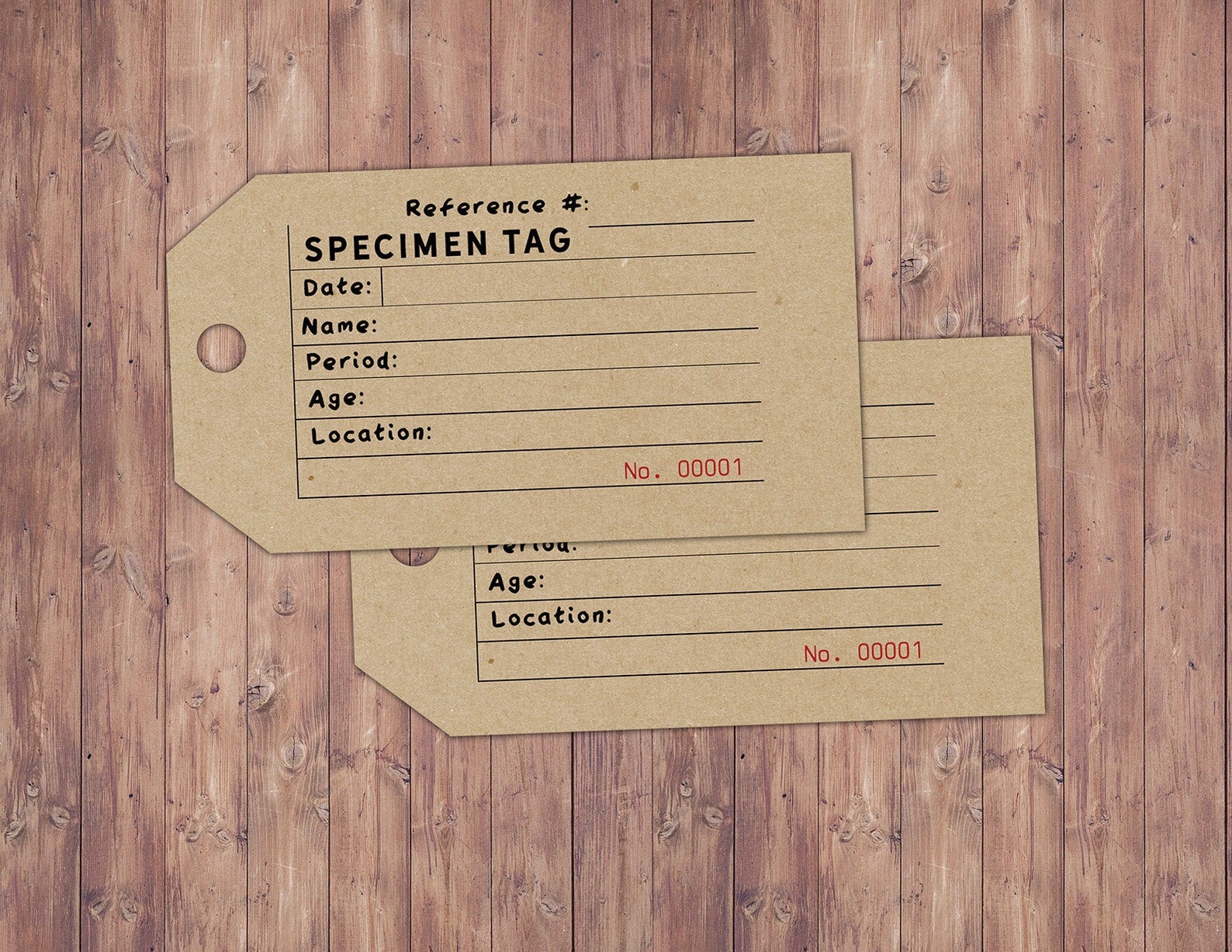 Dinosaur Dig Party, Specimen Tags, Dinosaur Birthday, Dino Skeleton and ...