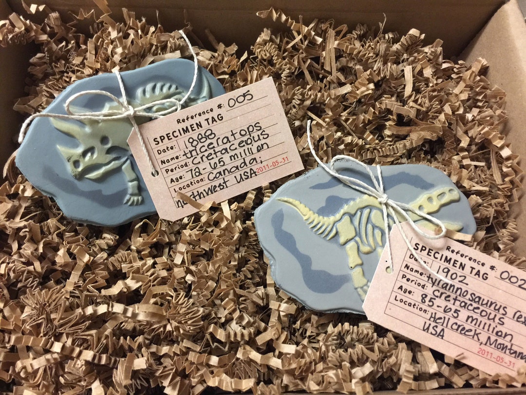 Dinosaur Dig Party, Specimen Tags, Dinosaur Birthday, Dino Skeleton and ...