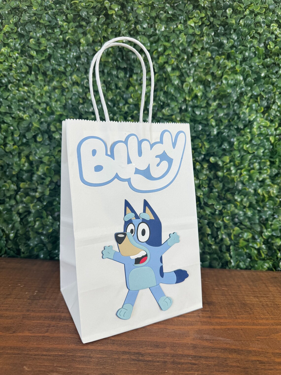 Bluey Inspired Goodie Bags - Etsy
