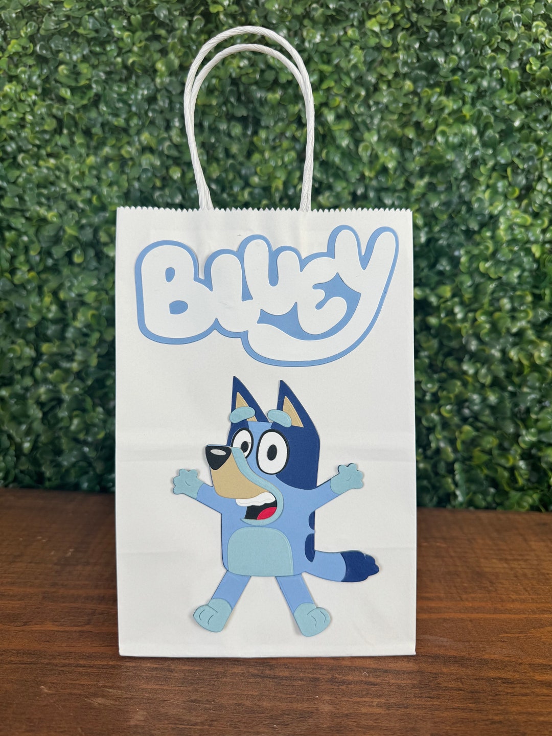 Bluey Inspired Goodie Bags - Etsy