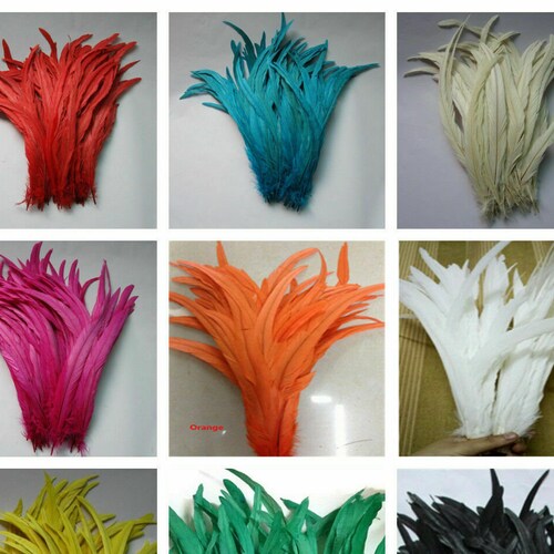ROOSTER Coque 3-6 Feathers VARIOUS COLORS - Etsy