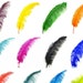 BLEACHED PEACOCK Tail Feathers 10-12 in Many Various - Etsy