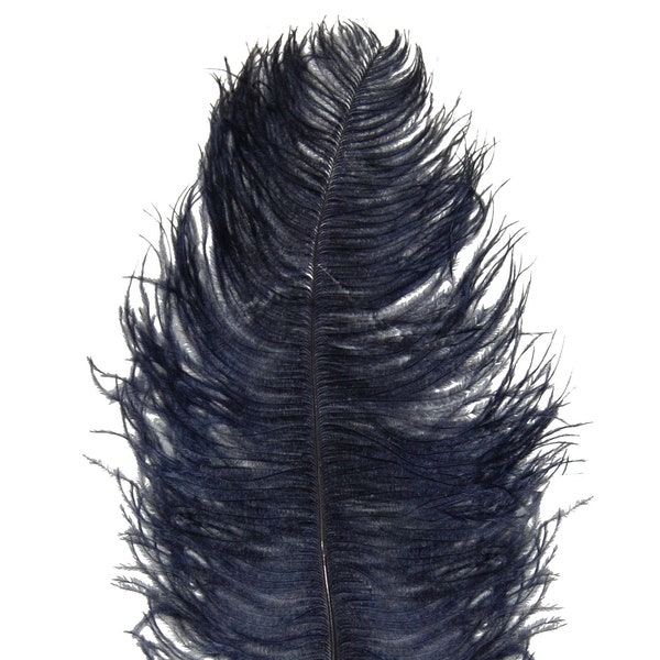 Navy Blue Feathers - Etsy