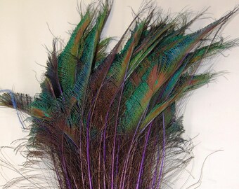 DYED PEACOCK SWORDS Various Colors 15-20 | Etsy