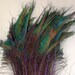 PURPLE Peacock Swords 15-20” in Length for Halloween Costume DIY Craft ...