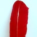 5 Pcs Turkey Quills - BRIGHT RED Feathers 8-12" in Length - Etsy