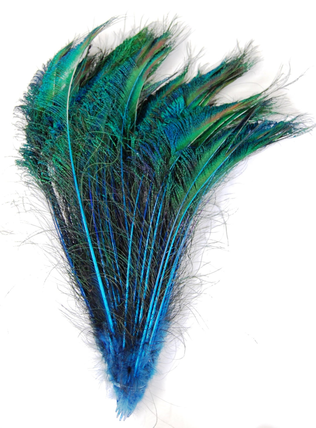 TURQUOISE Peacock Swords 10-15” in Length for Halloween Costume DIY ...