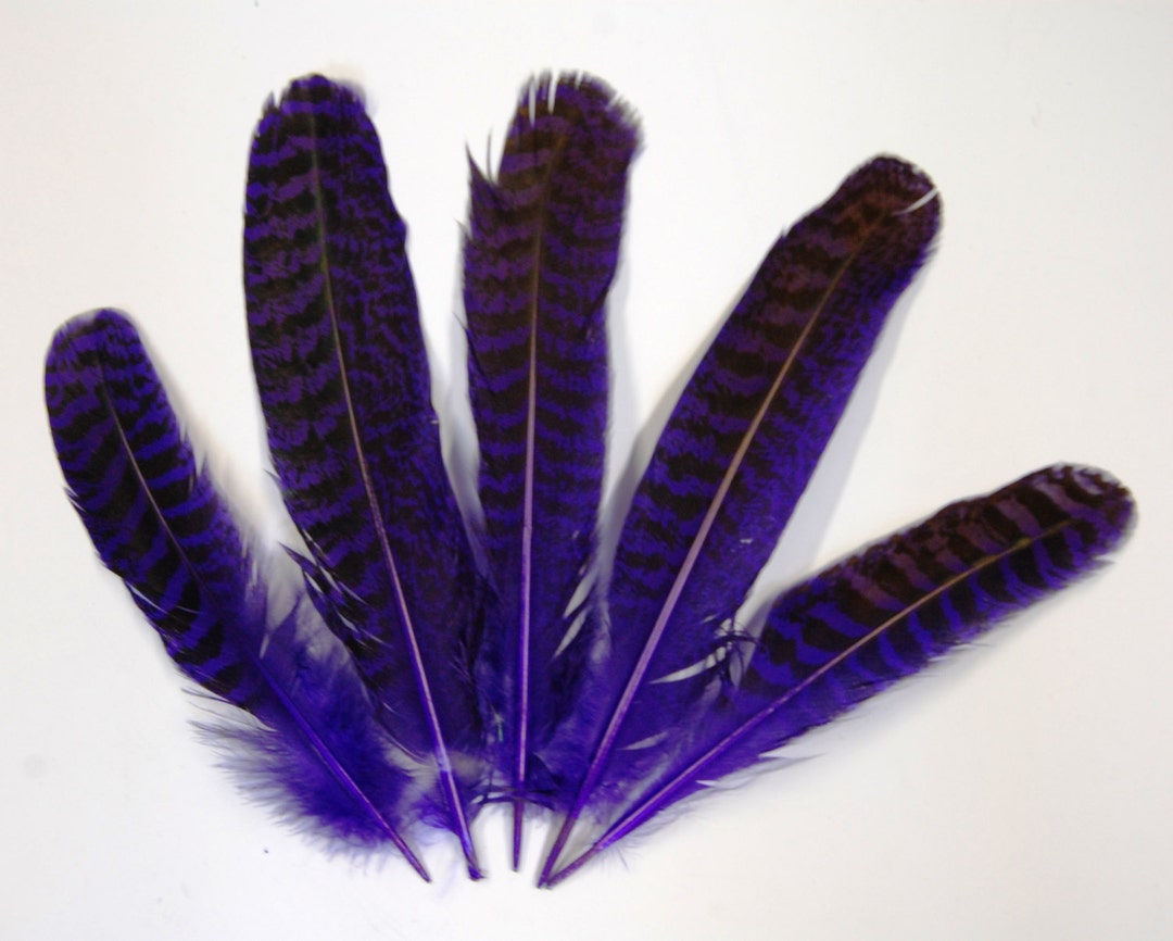 2 Pcs Dyed PEACOCK Quills 6"-10" - PURPLE - Etsy