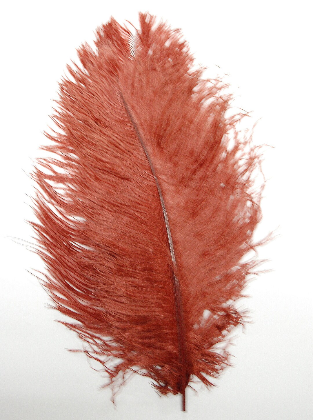 RUST Ostrich Feather Plumes 1018 for Centerpieces Craft Home Decor ...
