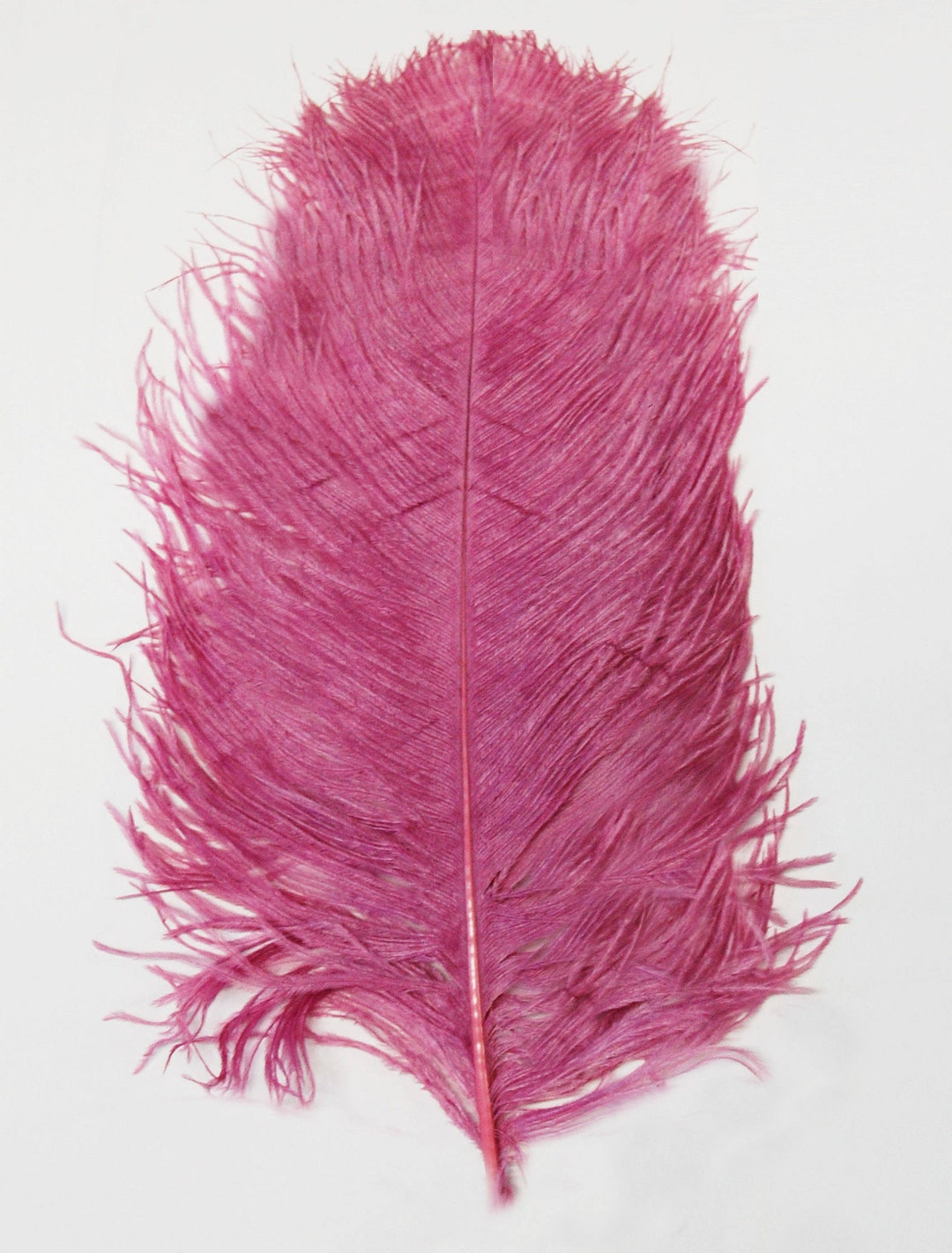 ROSE Ostrich Feather Plumes 10"-18" for Centerpieces Costumes Craft ...