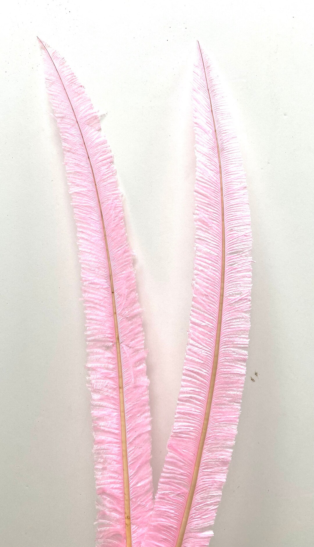 LIGHT PINK Nandu Ostrich Feather Plumes 20-30" Narrow Trimmed for ...