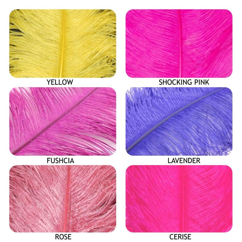 OSTRICH Feather PLUMES 18-23 Over 50 Colors to Choose - Etsy