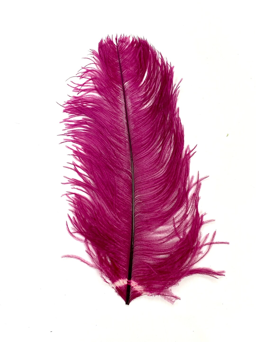 MAGENTA Ostrich Feather Plumes 18-23" for Centerpieces Halloween ...