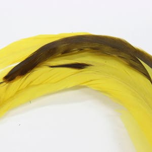 3 Pcs COQUE SWEEPS Dyed Yellow Rooster Feathers 8-12" in Height - Etsy