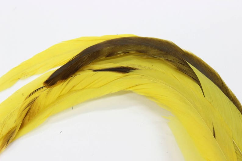3 Pcs COQUE SWEEPS Dyed Yellow Rooster Feathers 8-12" in Height - Etsy