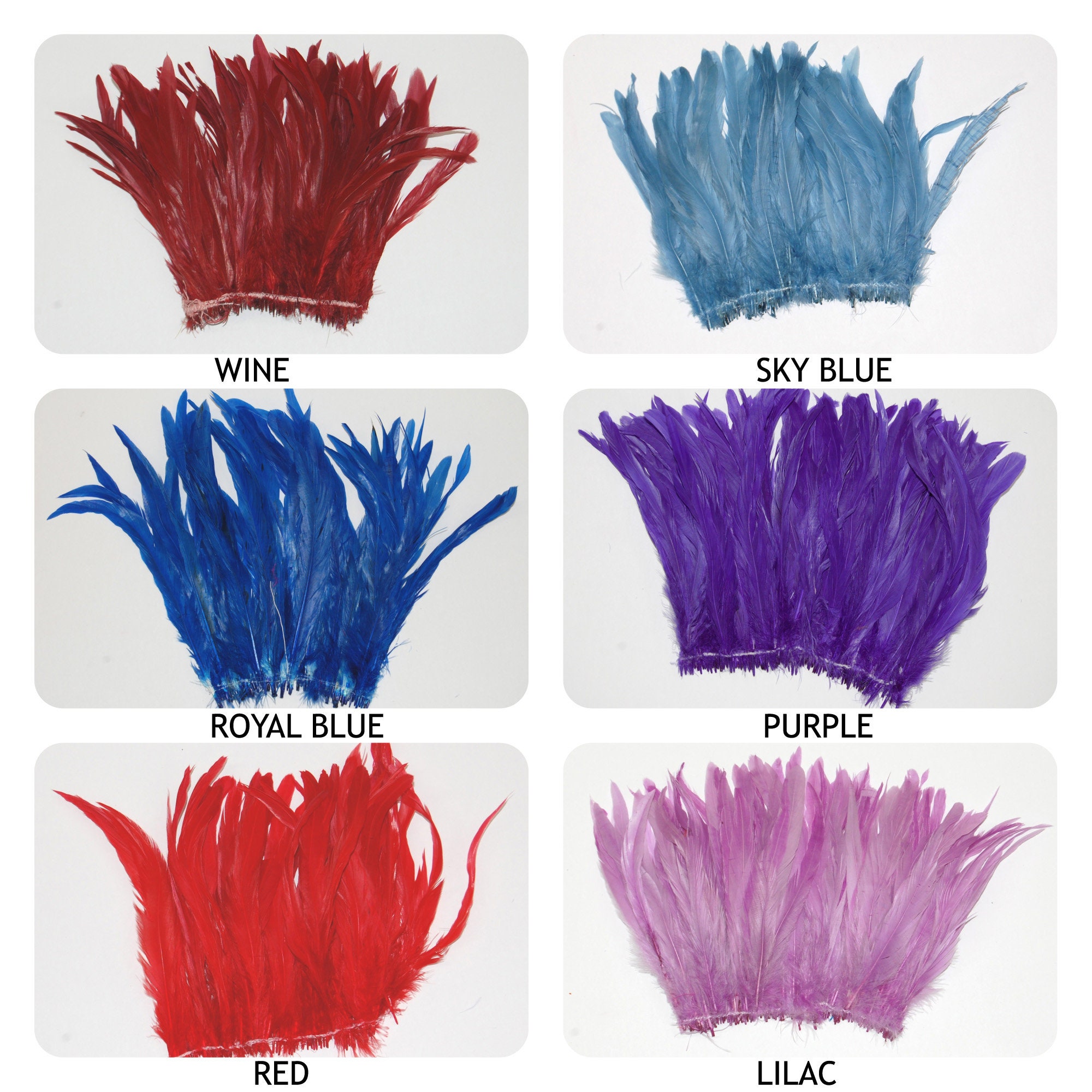 ROOSTER Coque 3-6" Feathers VARIOUS COLORS (trim/costume/craft ...