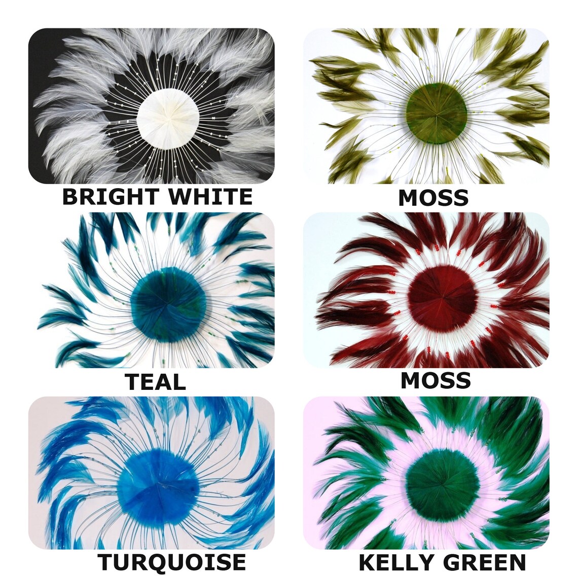 FULL PINWHEEL Hackle Feathers W/beads 10" in Width Various Colors for ...