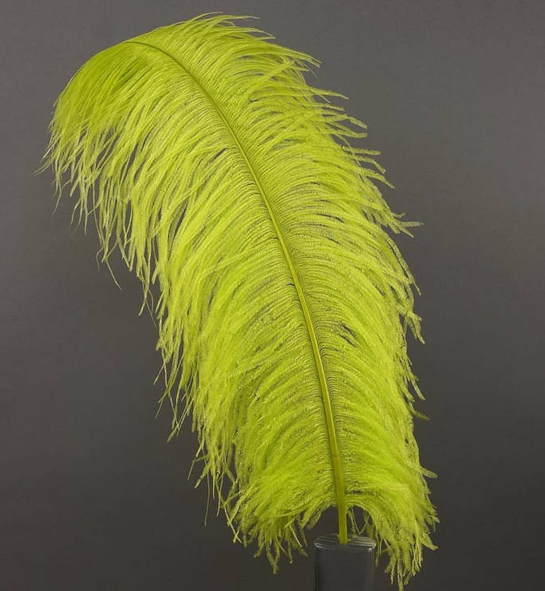 LIME GREEN Ostrich Feather Plumes 18-23" for Halloween Costume Table ...