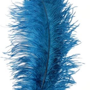 PERIWINKLE Ostrich Feather Plumes 18-23" for Halloween Costume Table ...