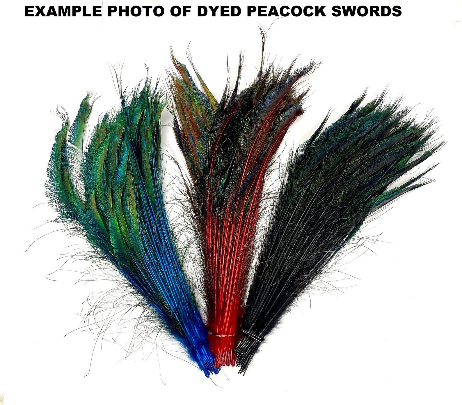 DYED PEACOCK SWORDS Various Colors 20-25” in Length for Halloween ...
