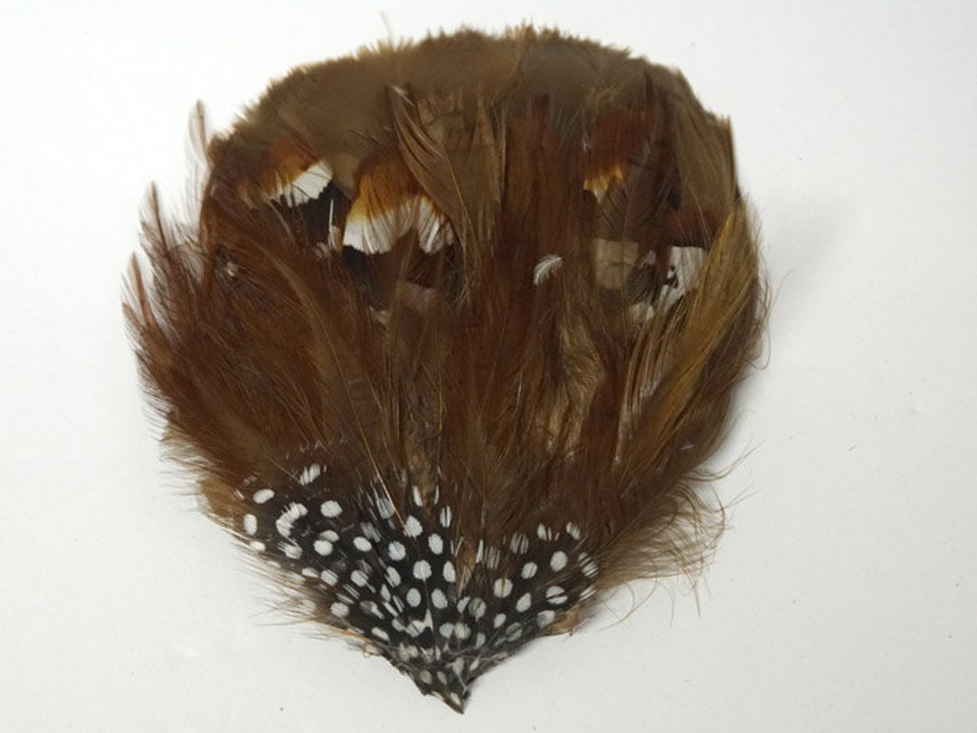 One BROWN GOOSE Feather PAD Pads Craft Halloween Costume Project Hat ...