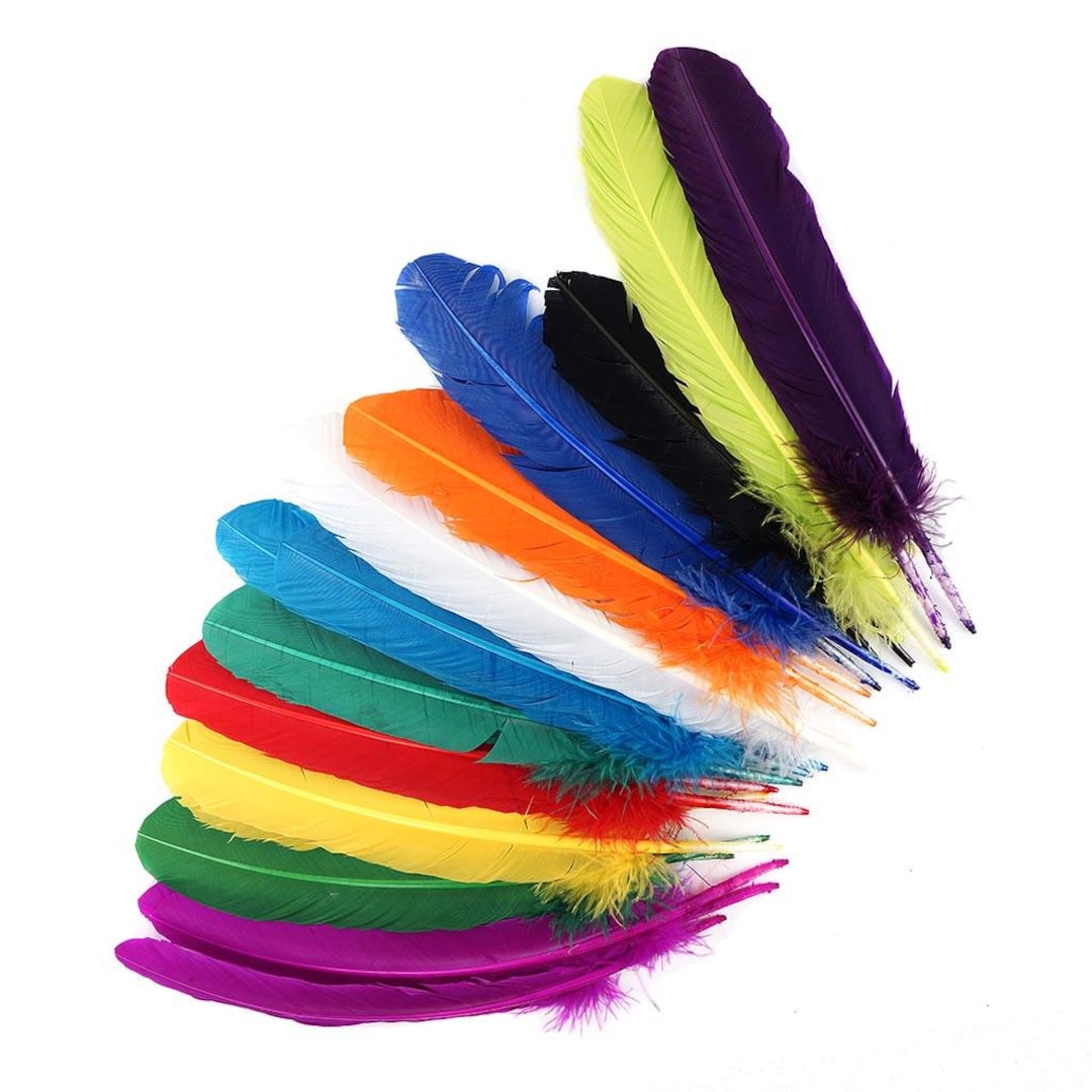 Colorful TURKEY QUILLS 8-12" Feathers Many Colors to Choose for Craft ...