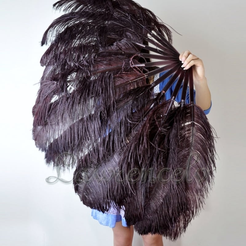 Burlesque Fan - Etsy