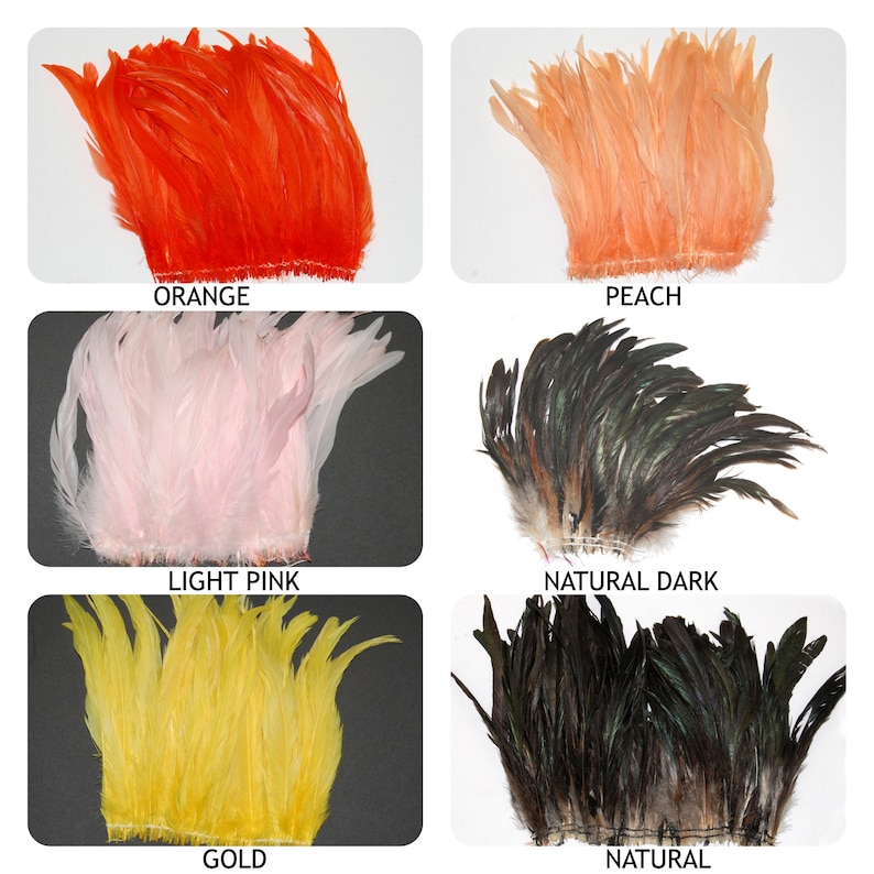 ROOSTER Coque 3-6" Feathers VARIOUS COLORS (trim/costume/craft ...