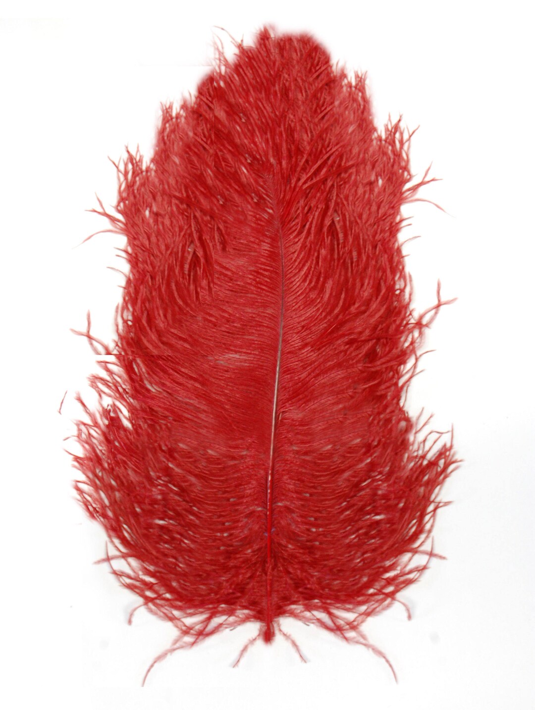 BLOOD RED Ostrich Feather Plumes 10"-18" for Centerpieces Costumes ...
