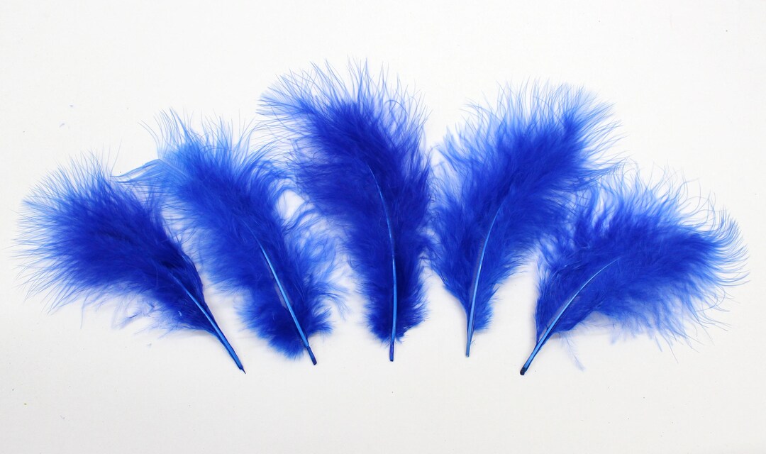 ROYAL BLUE Marabou Plumage 2-5" Feathers for Crafts Halloween Costume ...