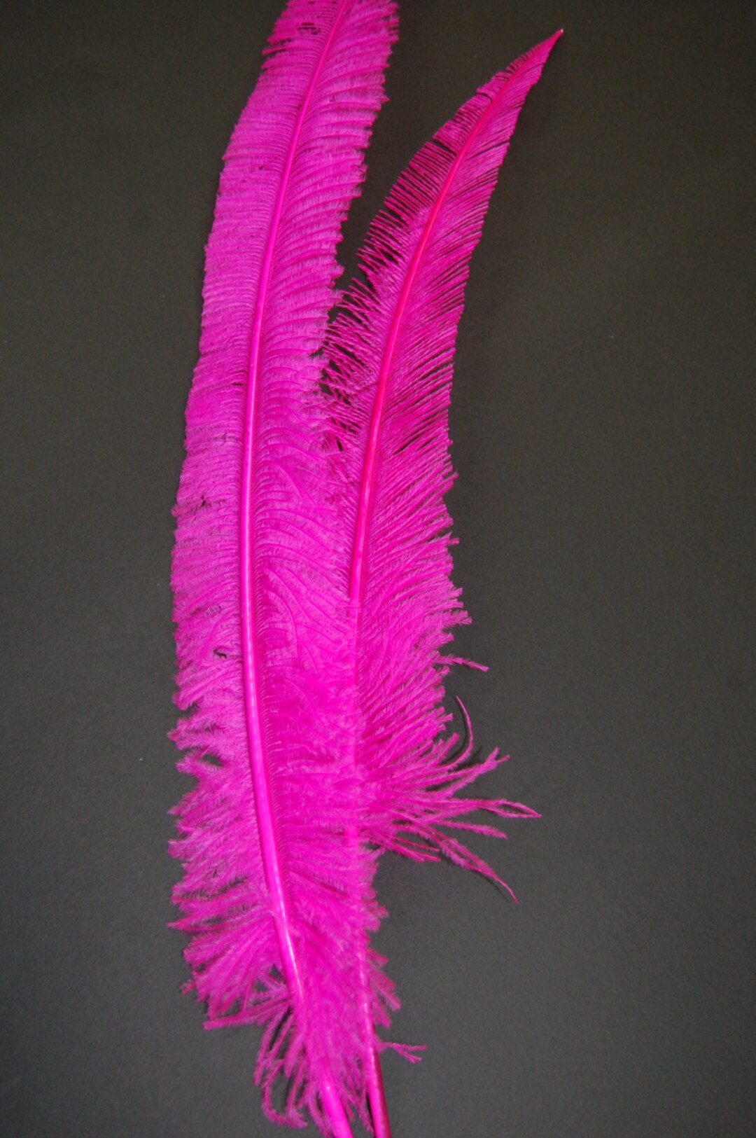 2 Stk Strauß Nandu Feder Pflaumen 20-30 HOT PINK - Etsy.de