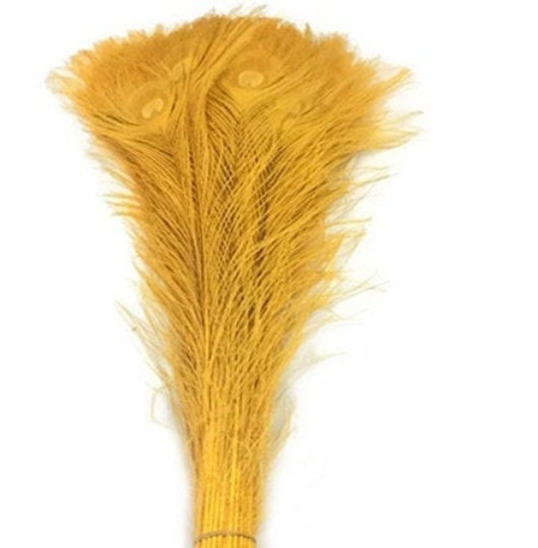 Yellow Peacock Feathers