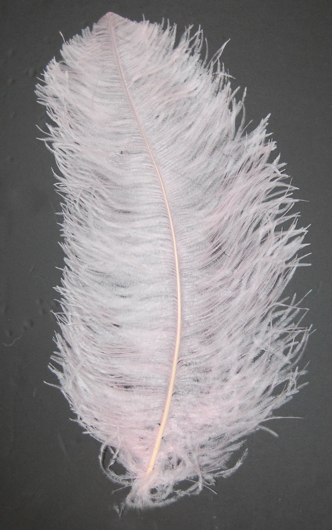 LIGHT PEACH Ostrich Feather Plumes 10"-18" for Centerpieces Craft Home ...