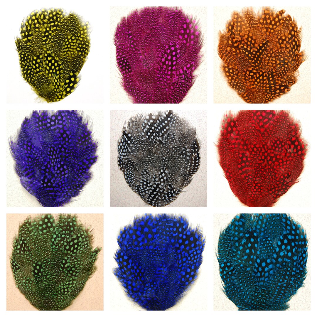 Guinea Pheasant Feather Pads 3-6" in Height in Many Colors for ...