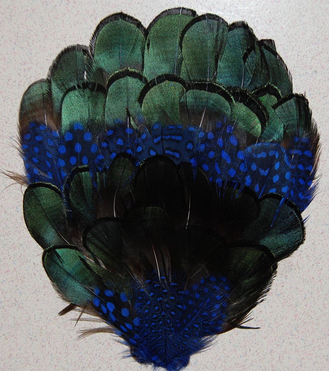 GUINEA/PHEASANT Feather Pad ROYAL Blue Headband/hats/grizzly - Etsy