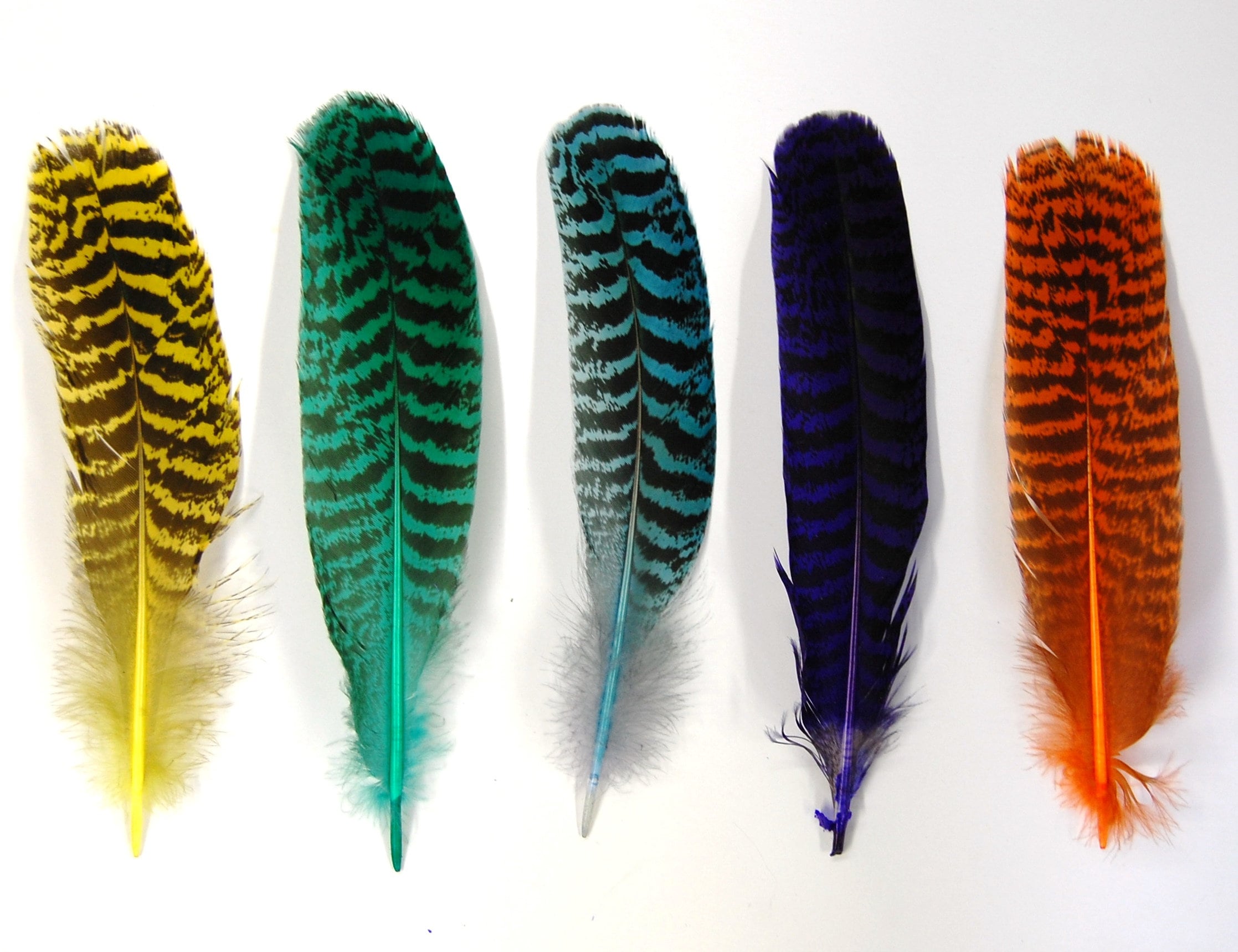 Colorful Dyed PEACOCK QUILLS 6-10 Many Colors for Craft | Etsy