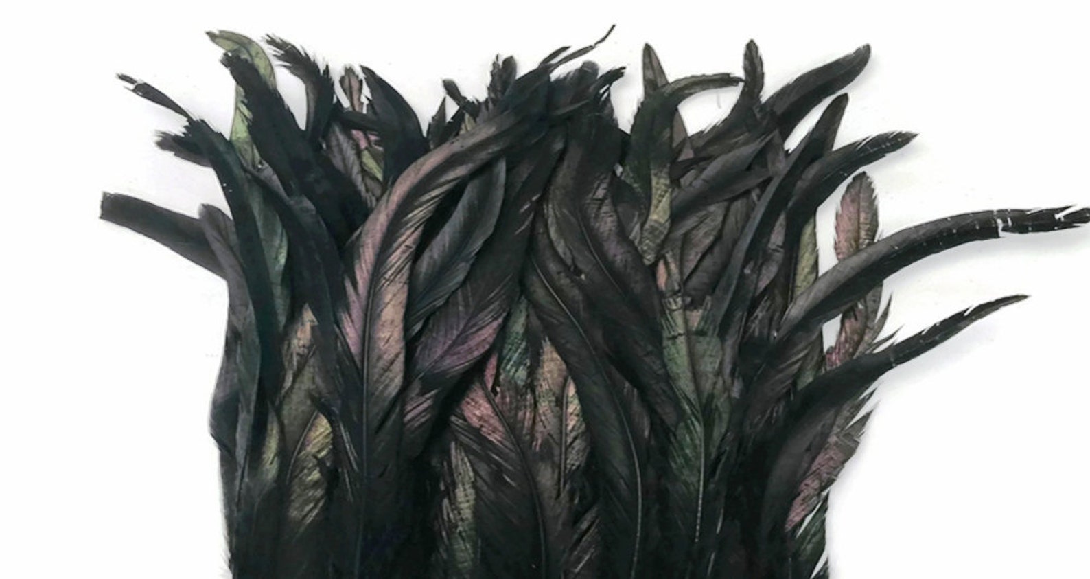 BLACK COQUE Rooster Tail Feathers: 8-11 Length per 1 | Etsy