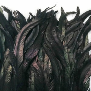 BLACK COQUE Rooster Tail Feathers: 8-11 Length per 1 Foot Strung - Etsy