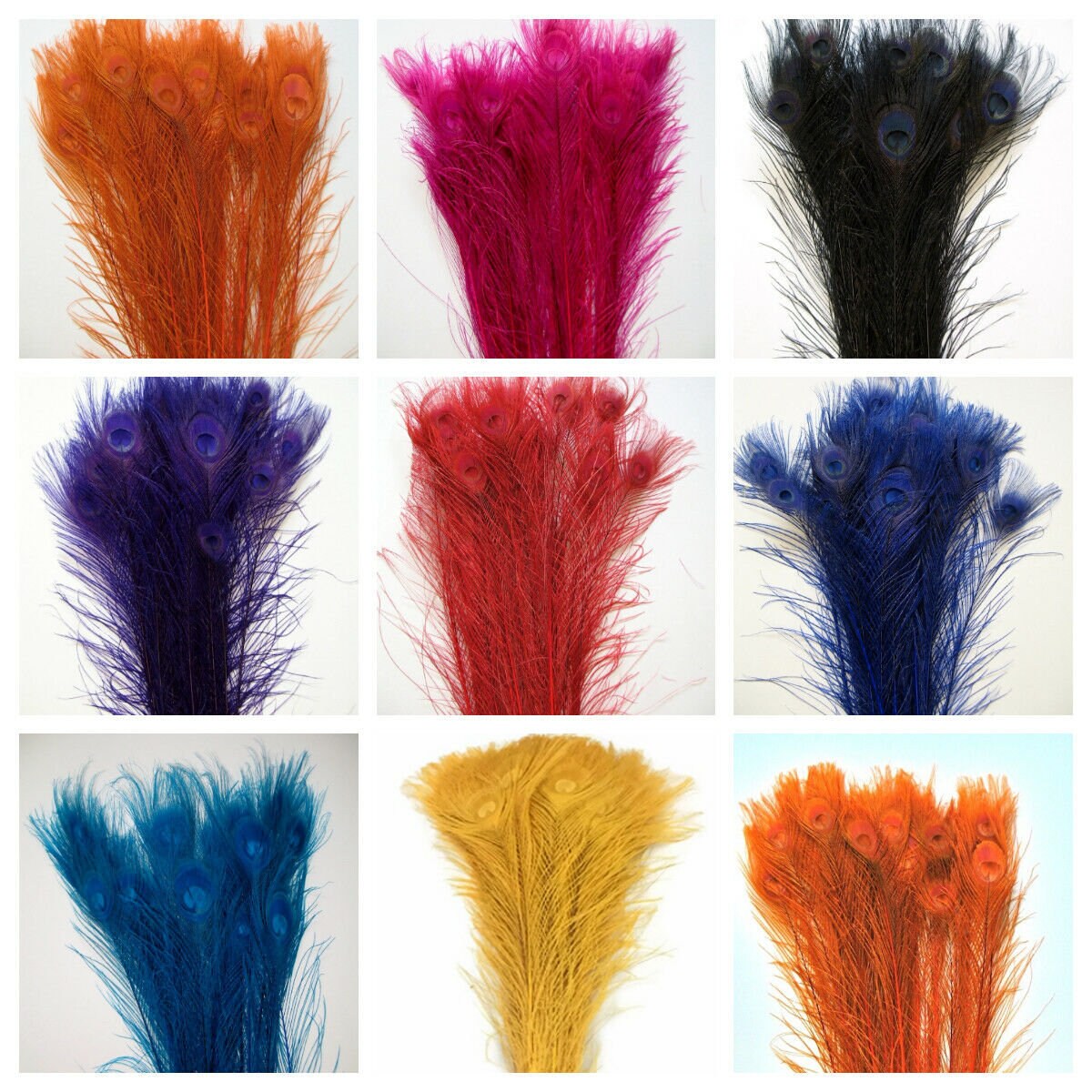 BLEACHED PEACOCK Tail Feathers 35-40" in Many Colors for Halloween ...