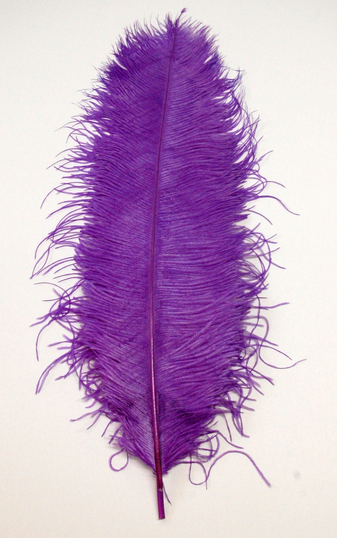 PURPLE Ostrich Feather Plumes 10"-18" for Centerpieces Craft Home Decor ...