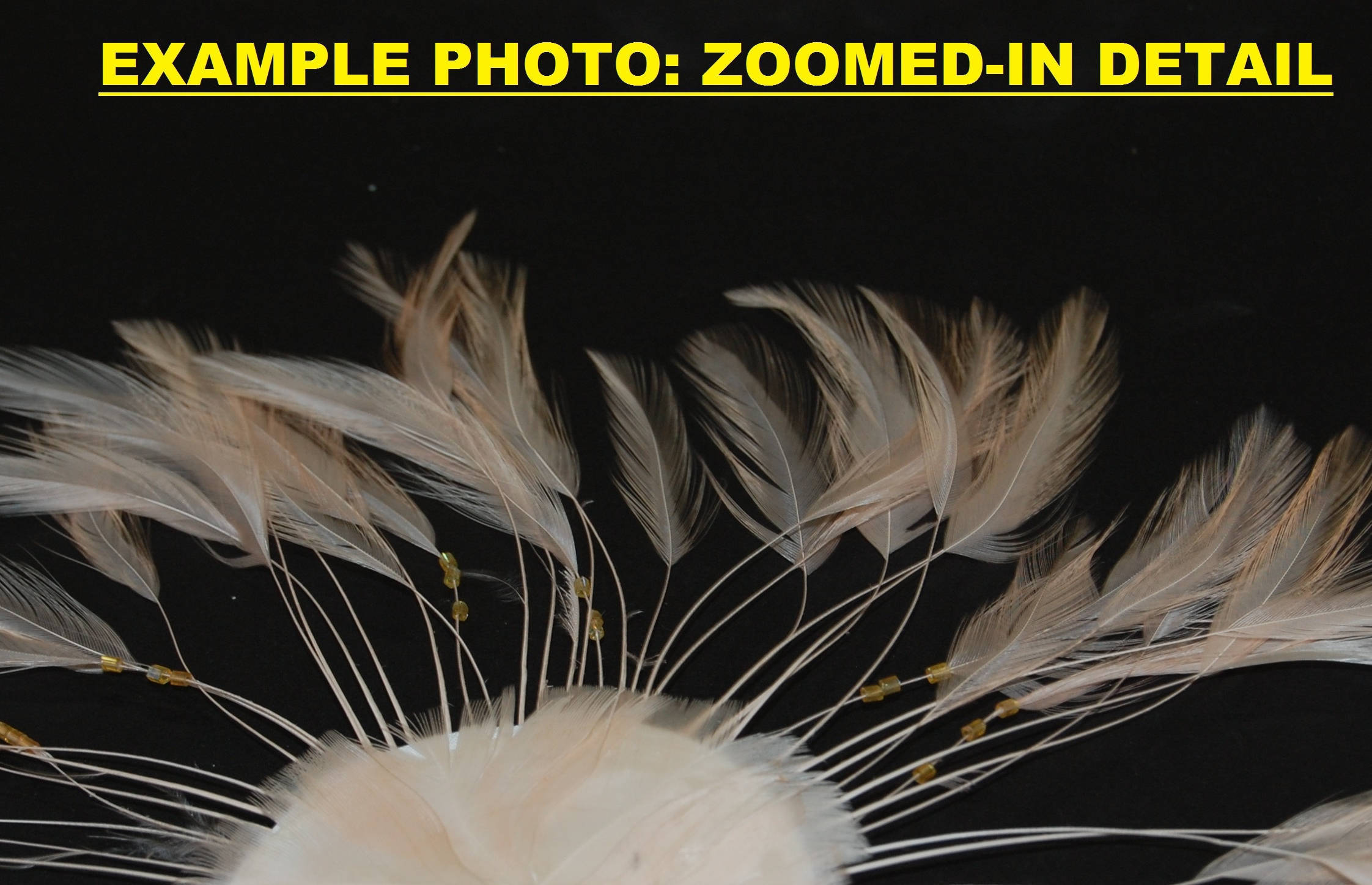 One FULL PINWHEEL Hackle Feathers W/beads - GOLD - Etsy