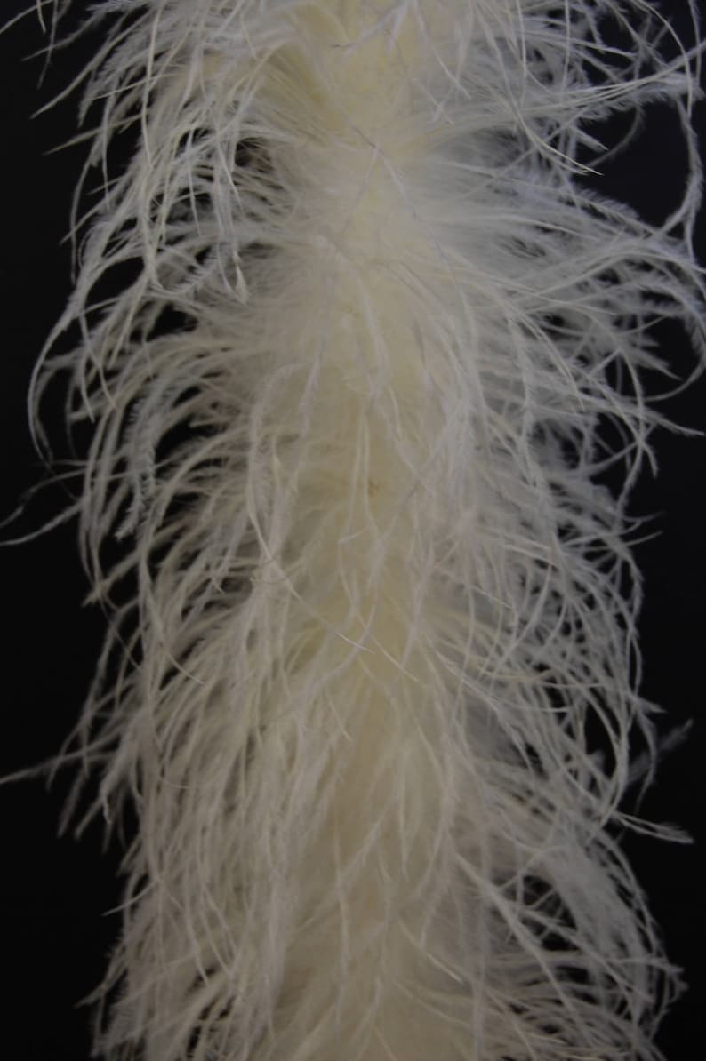 4 Ply IVORY Ostrich Feather Boa 2 Yards for Halloween Costume Craft ...