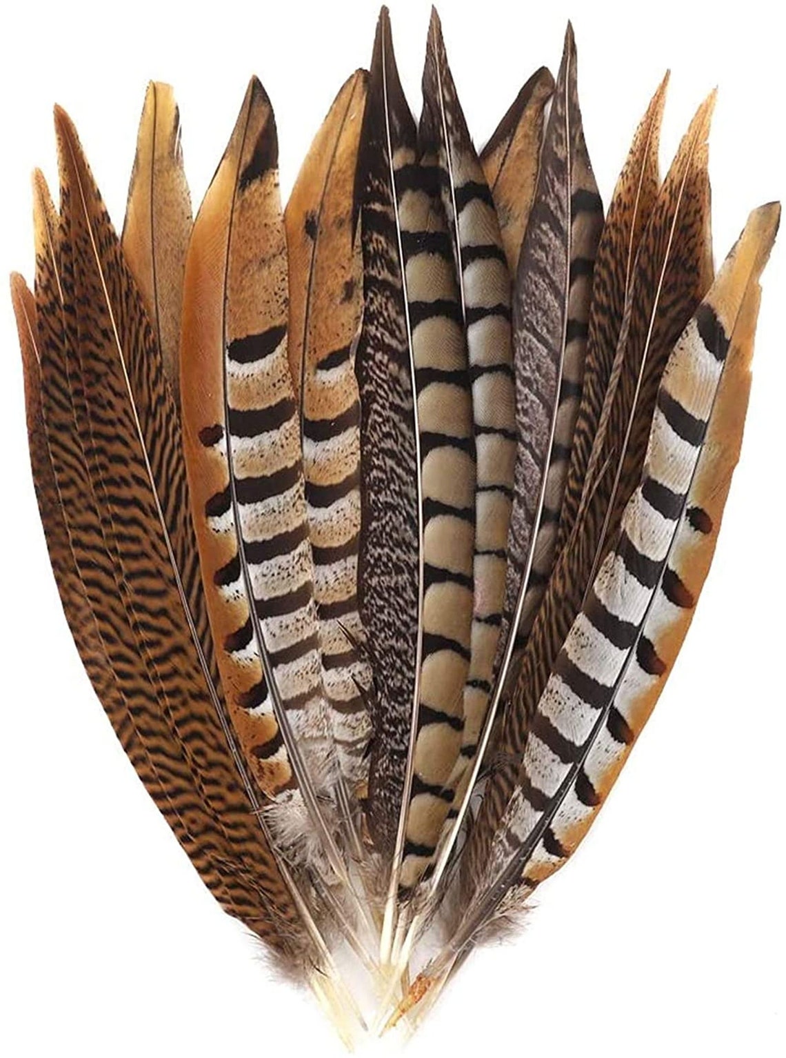 MIXED Natural Pheasant Feathers 1224 - Etsy