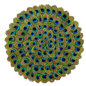 Natural Peacock FEATHER PLACEMAT 15" X 15" Circle Unique for ...