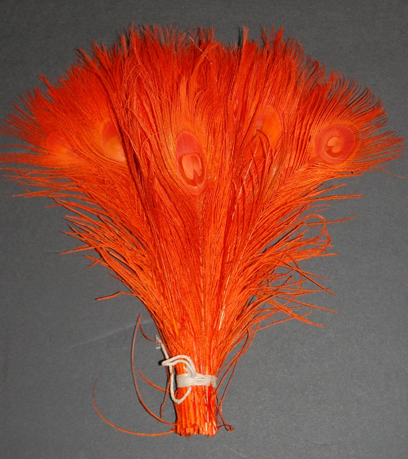 BLEACHED PEACOCK Tail Feathers 10-12 in Many Various - Etsy