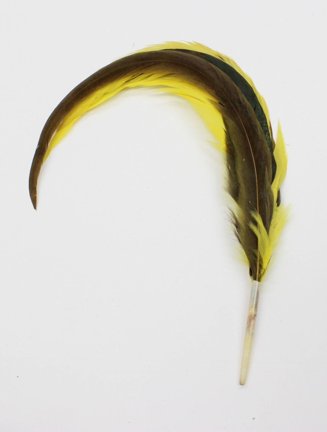 3 Pcs COQUE SWEEPS Dyed Yellow Rooster Feathers 8-12" in Height - Etsy