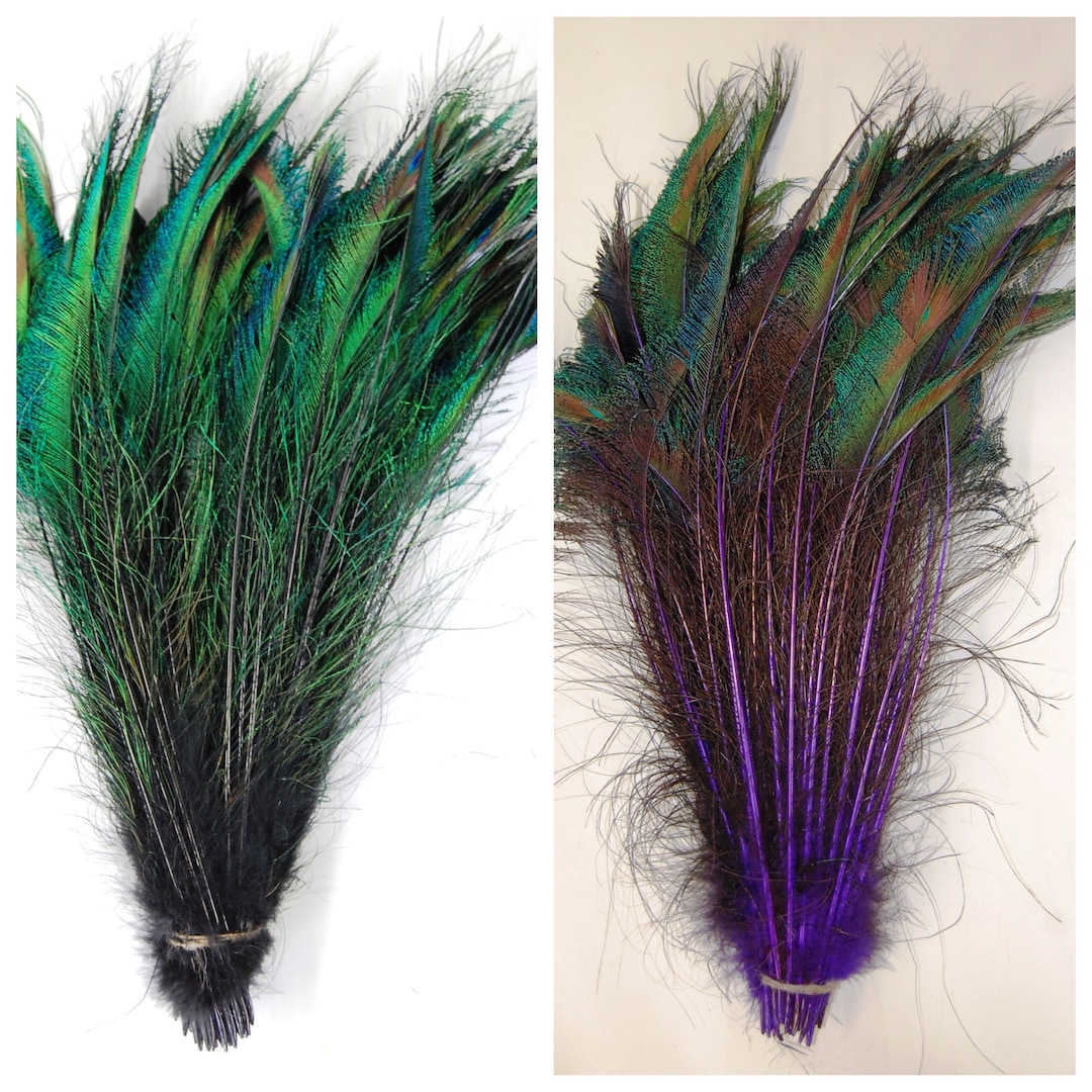 DYED PEACOCK SWORDS Various Colors 10-15” in Length for Halloween ...